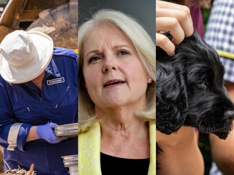 The Loop: Human remains found in Victorian bushland, border uncertainty ...