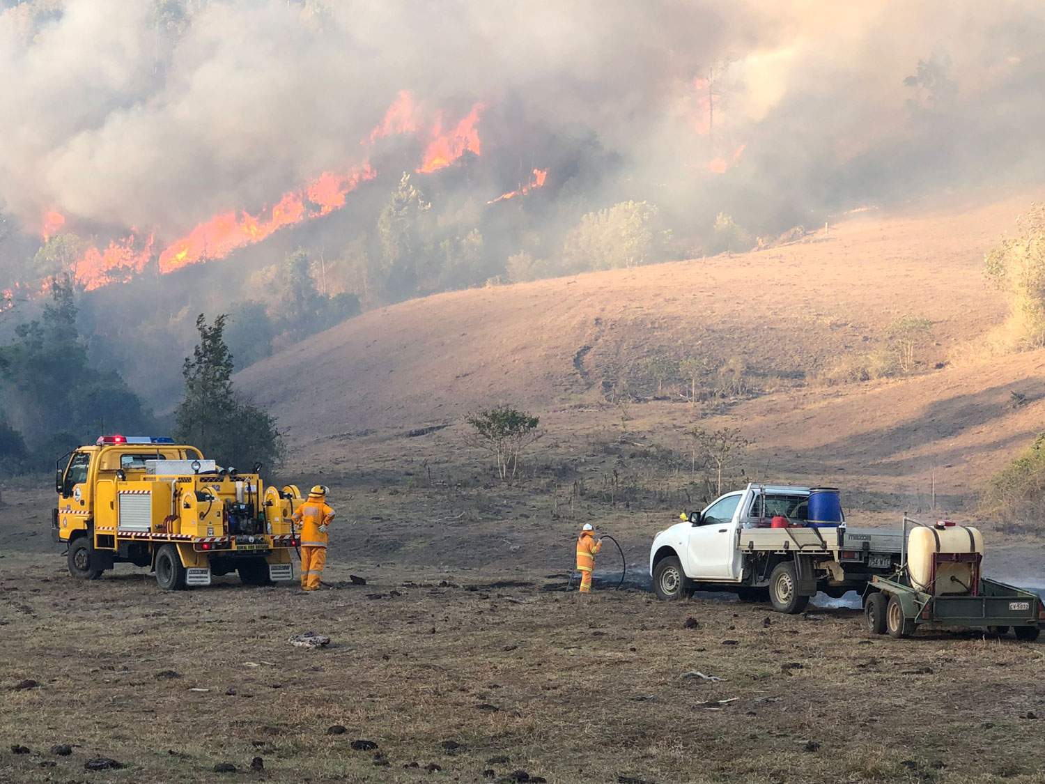 Queensland's bushfire devastation captured in pictures - ABC News
