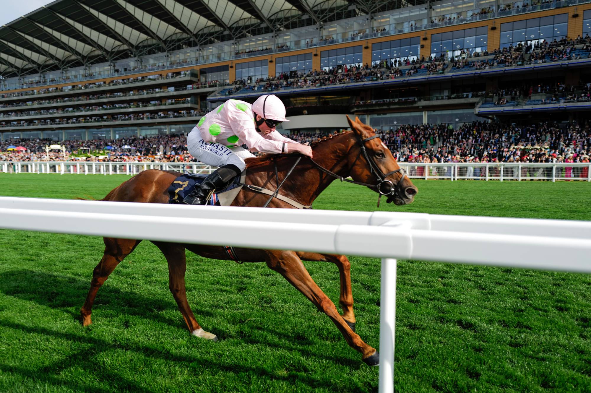 Melbourne Cup 2023 field, horses, form guide and finishing order - ABC News