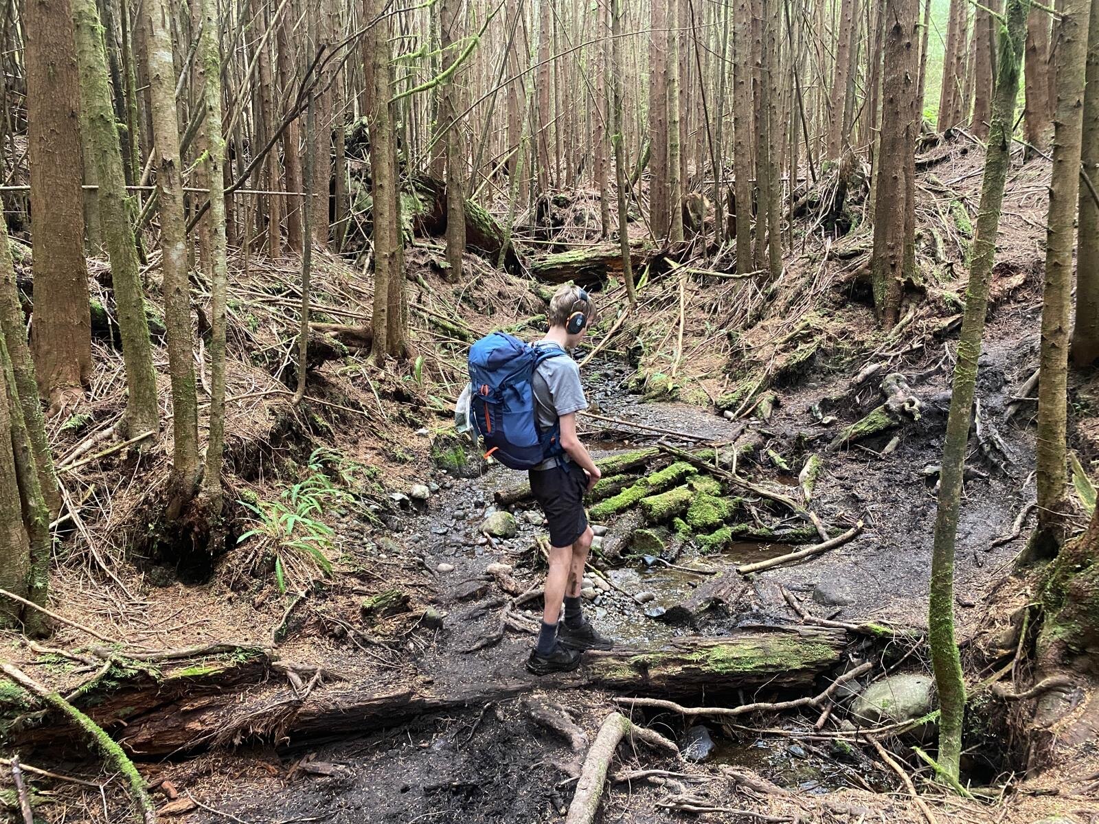 Patrick dreams of being world's first non-speaking, autistic hiking ...