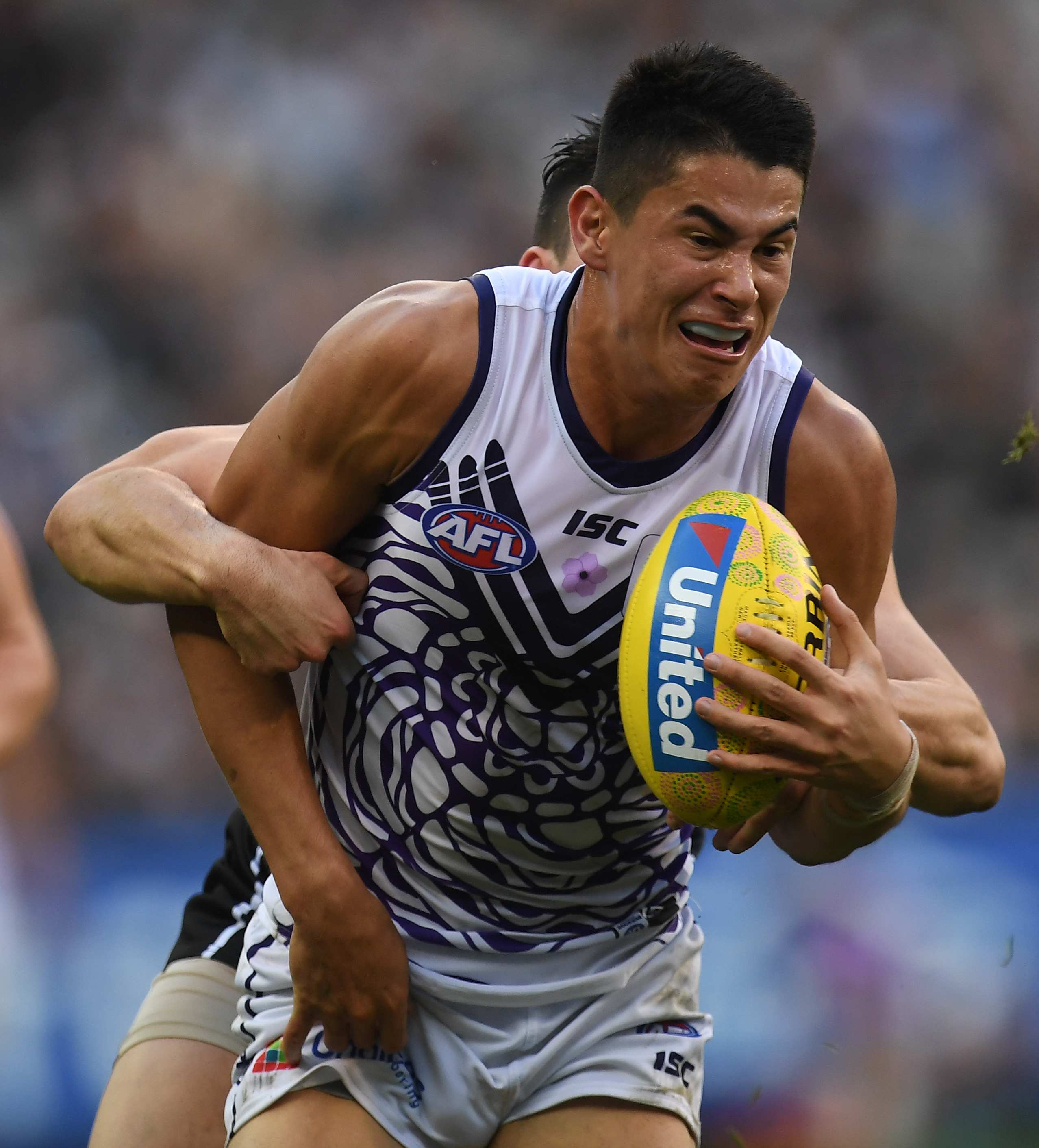 How Bailey Banfield's AFL dream turned to dust before the Fremantle ...
