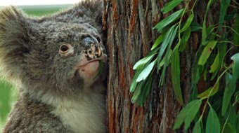 Week in review - ABC News