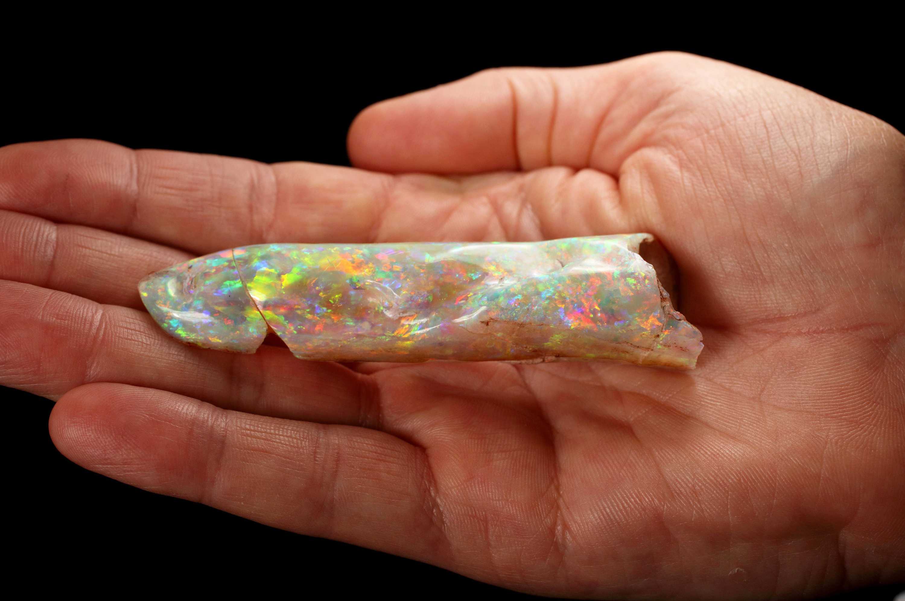 Rare opals worth more than $1m donated to SA Museum - ABC News