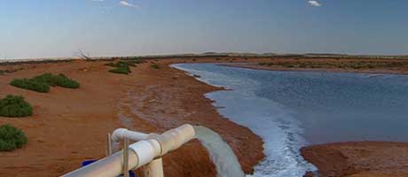 Salt Wars - ABC News