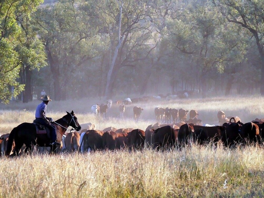 Voters in Callide electorate to vote in state by-election this weekend ...