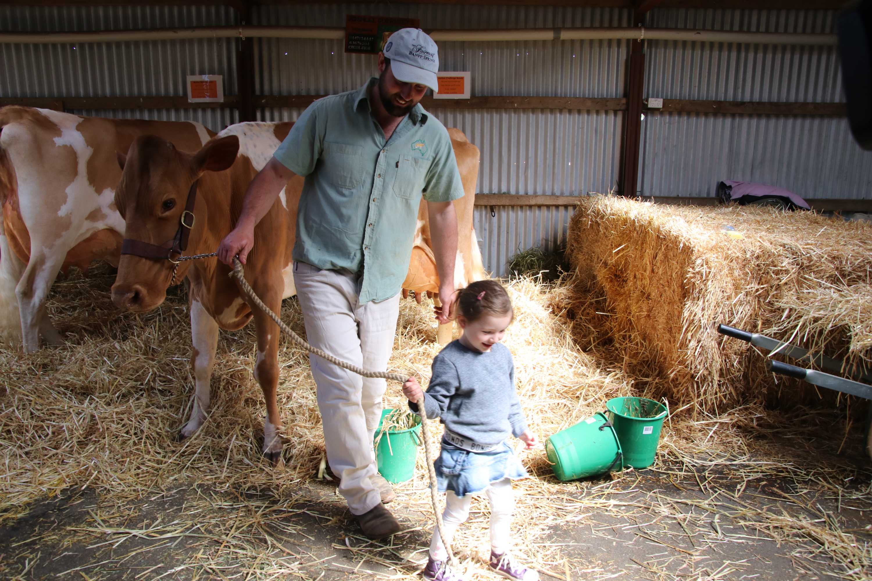 Community support the lifeline against Tasmanian show cancellations ...