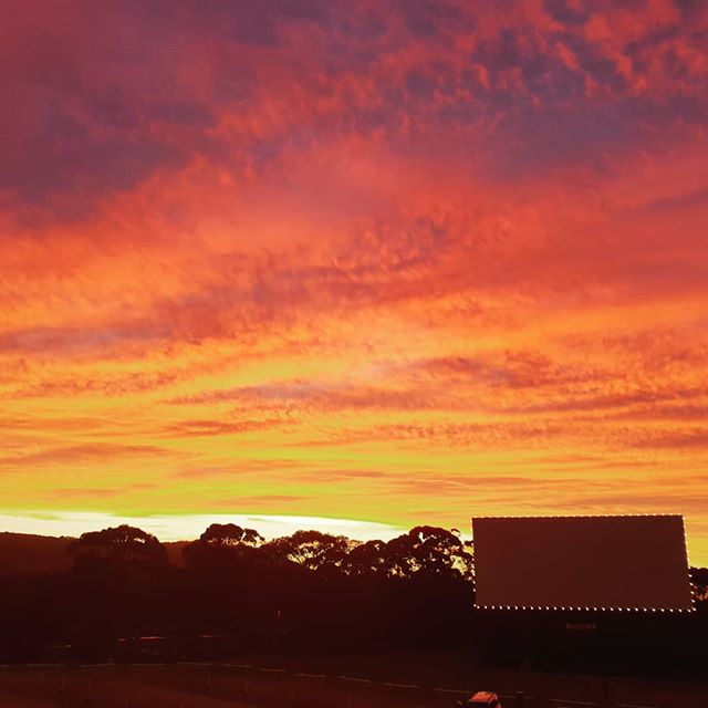 The unofficial history of the Dromana Drive-In - ABC listen