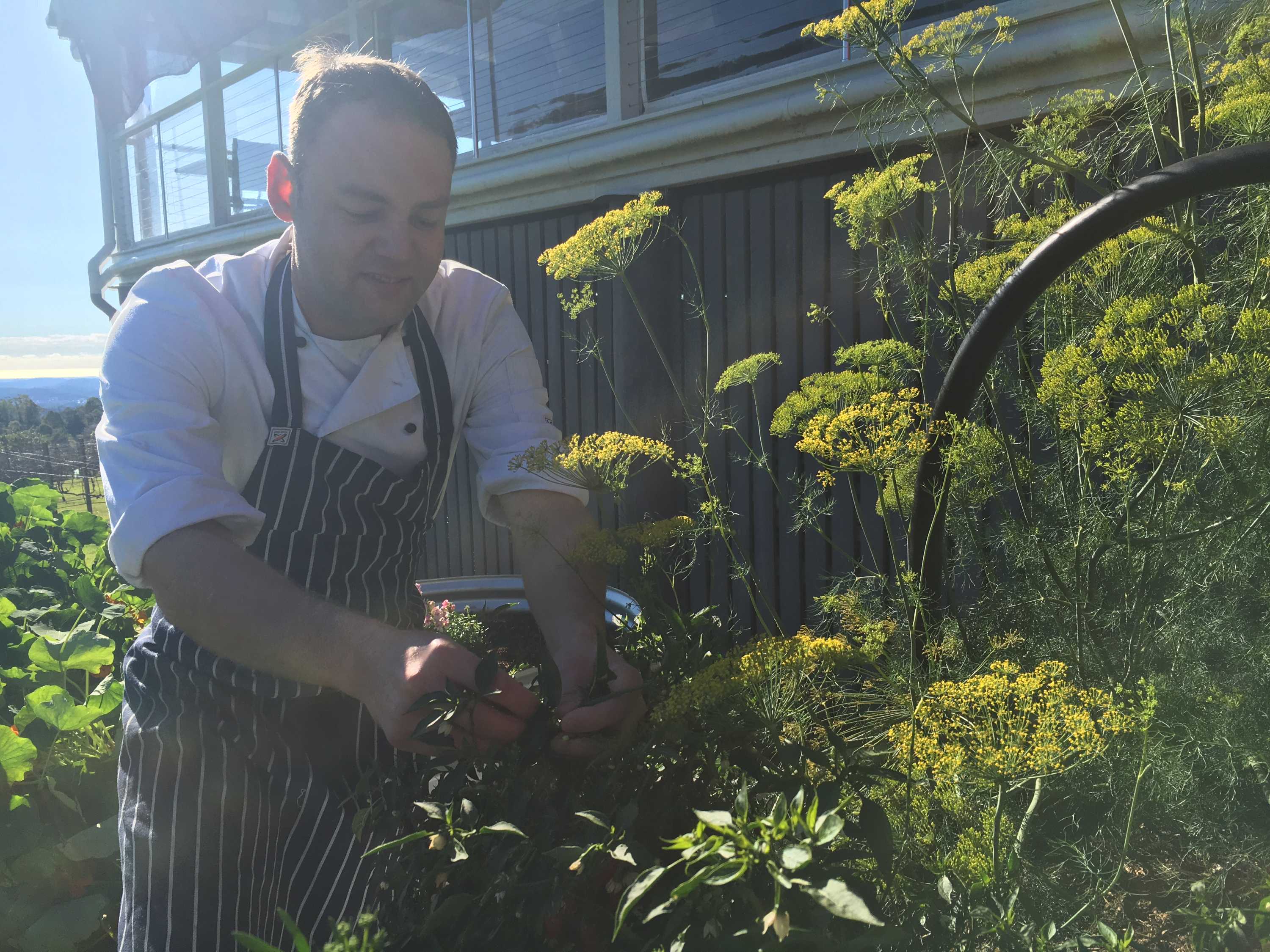 Vineyard offers produce from paddock to plate with wine, beef and ...