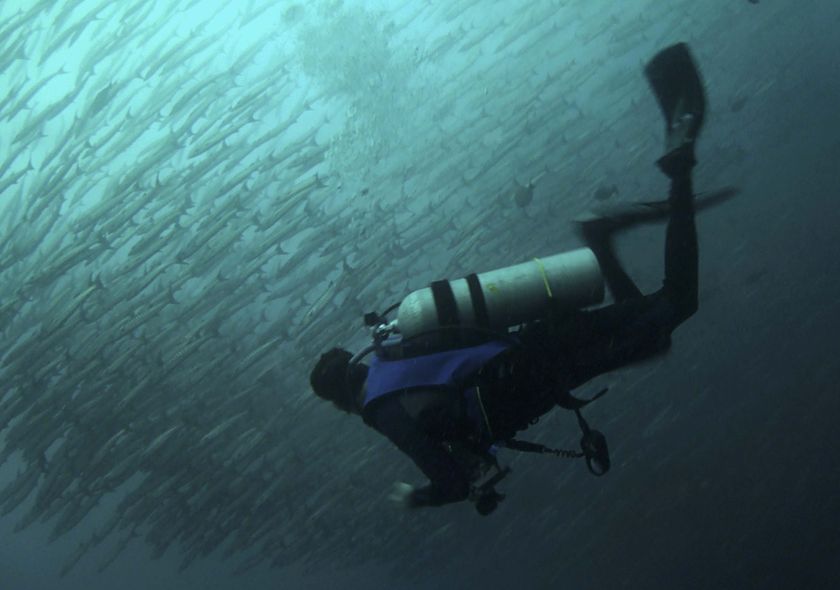 Diver found safe - ABC News