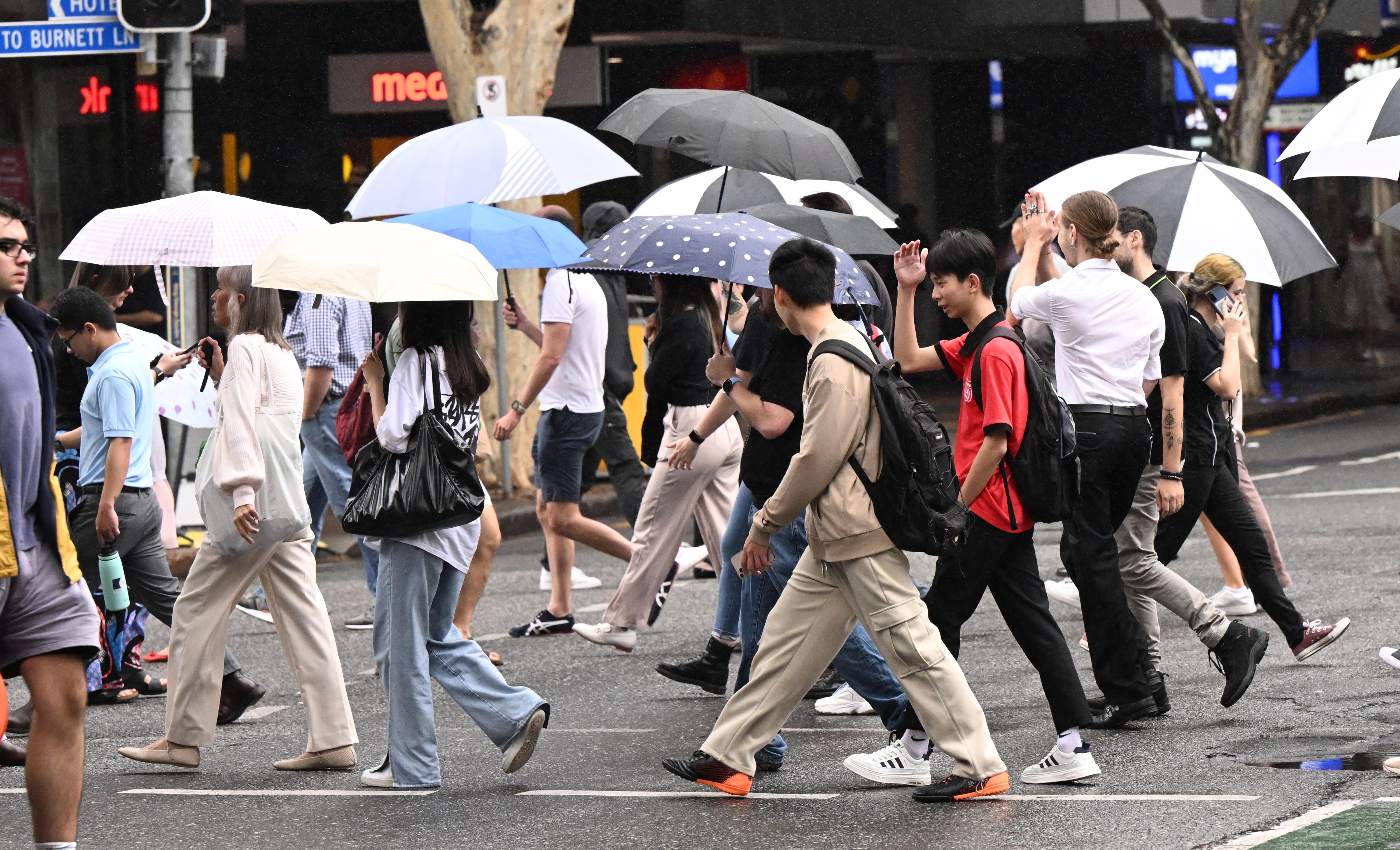 Gardening Australia's guide to reviving your garden after heavy rain ...