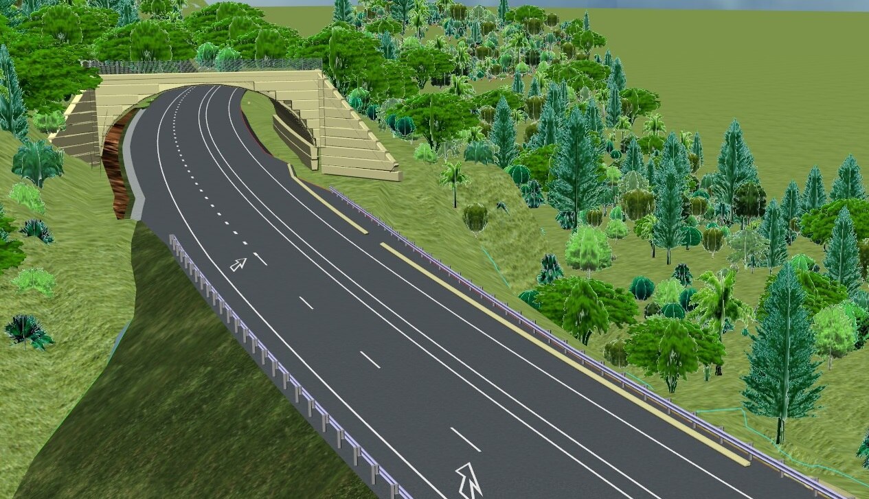 Bruce Highway cassowary bridge project finished over time, budget in ...