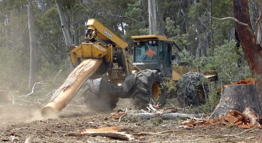 Logging
