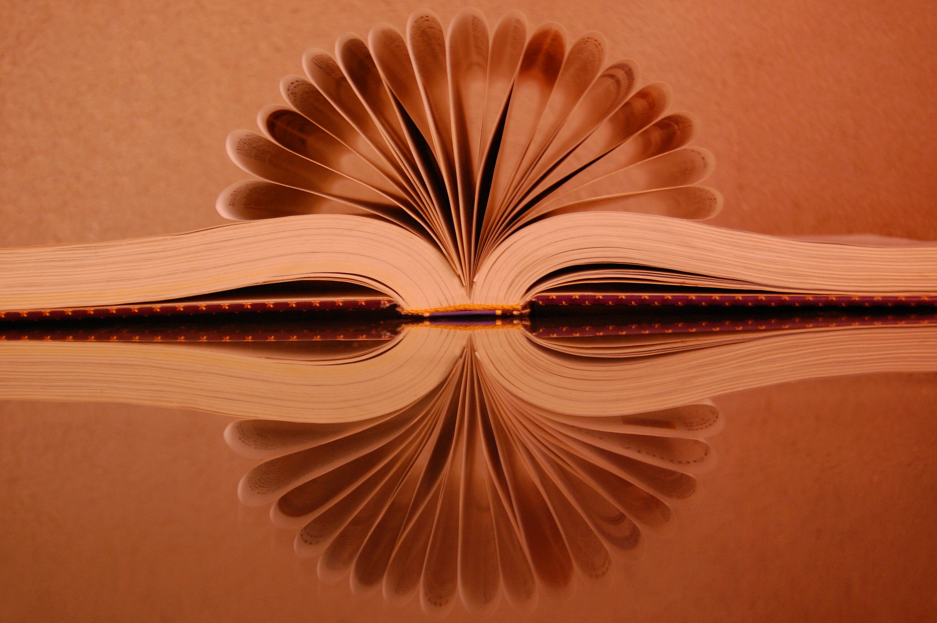 The Bookshelf with Kate Evans and Cassie McCullagh - ABC listen