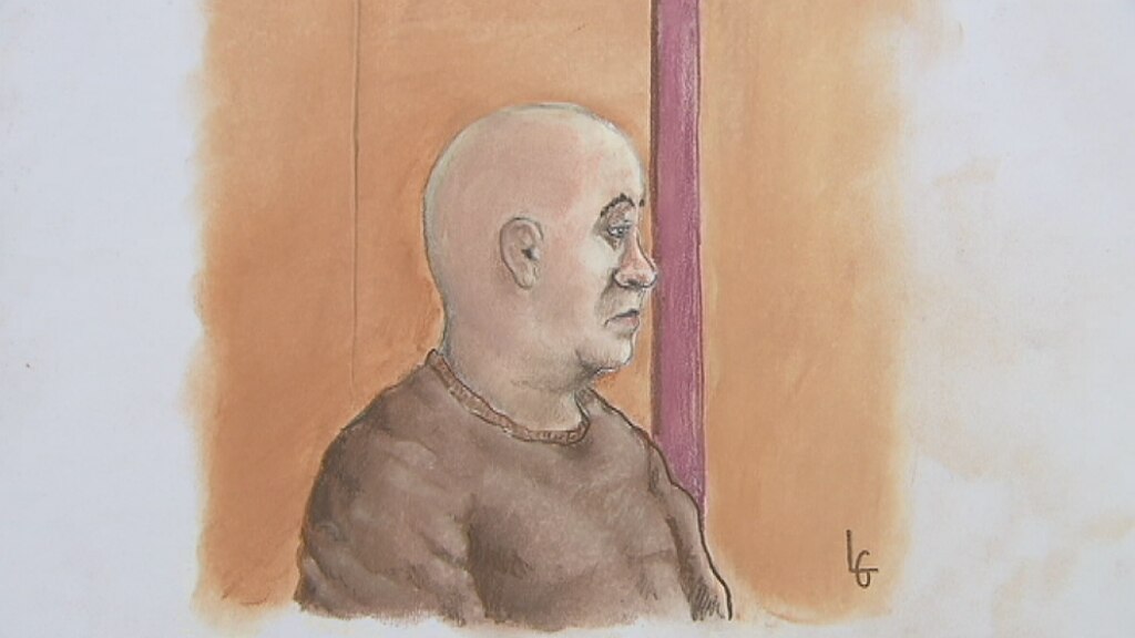 Donna Field - ABC News