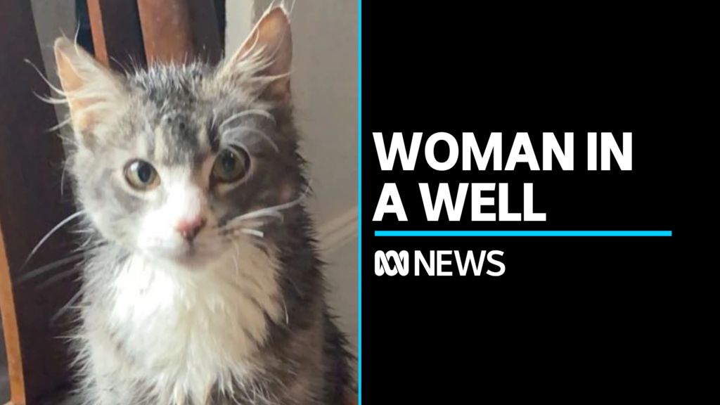 Woman gets trapped in well trying to save pet cat that saved itself ...