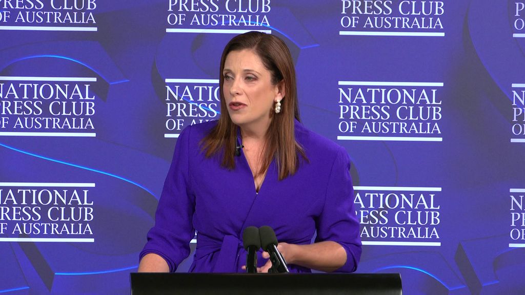 'We must act now': Anika Wells calls for more funding to keep up with ...