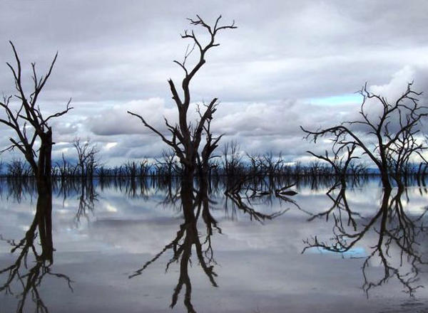 Farmers protest over Lake Mokoan's future - ABC News