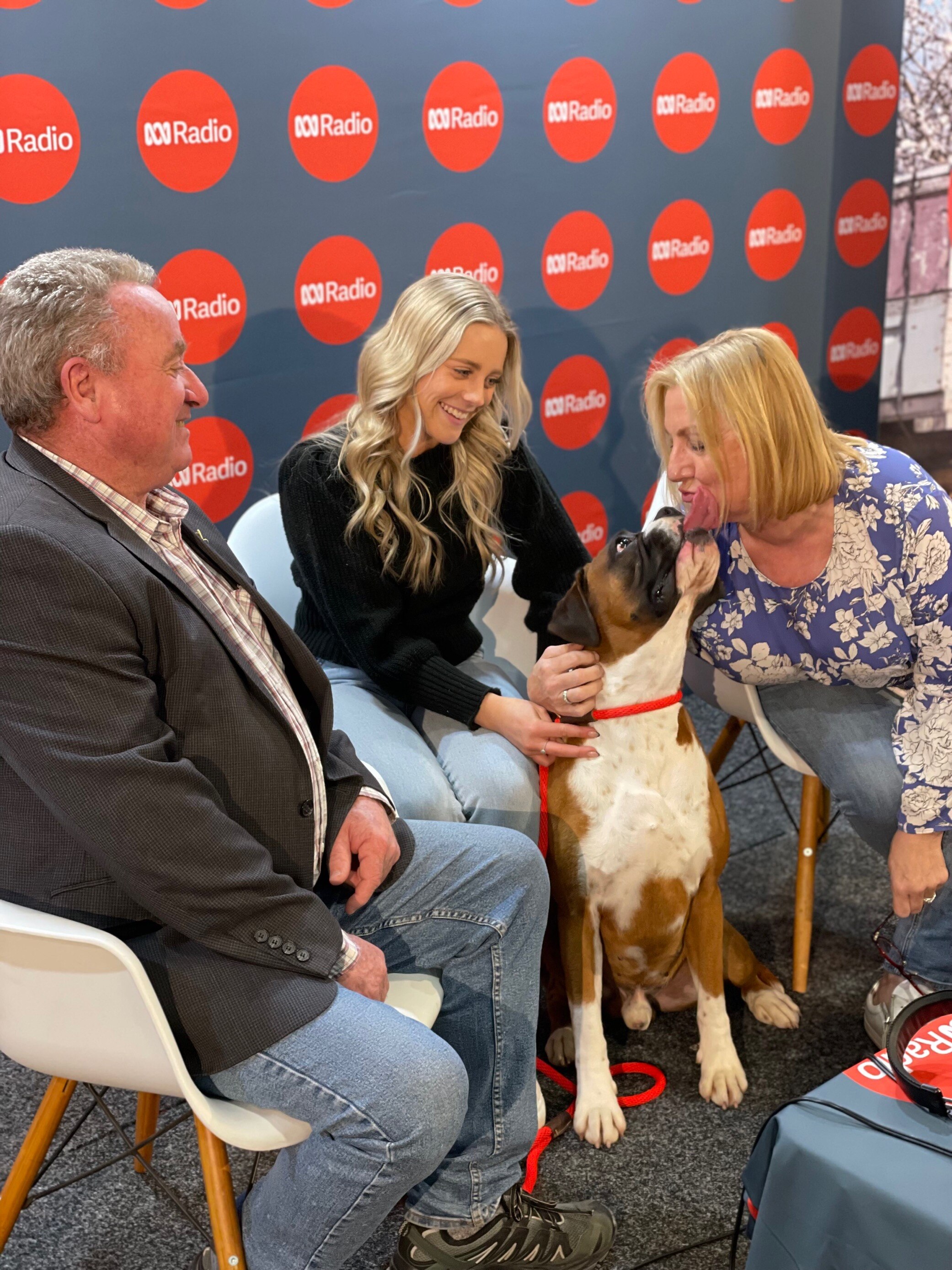 Why a Boxer has jowls and what make a 'supreme champion' - ABC listen