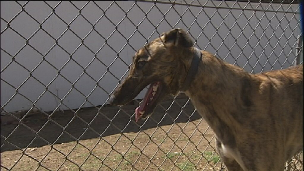 Overnights with Rod Quinn - ABC listen