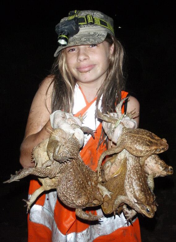 The cane toads continue their relentless advance - ABC News
