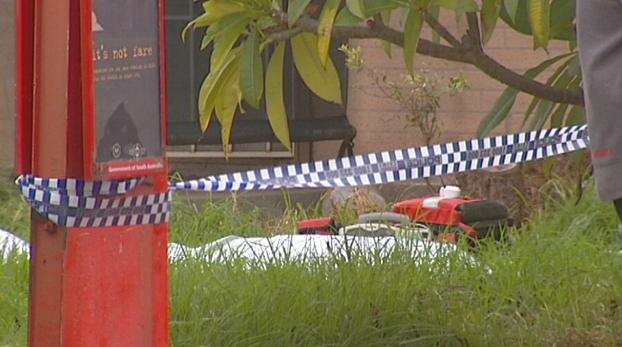 Adelaide woman Raylene Smith appears in court charged with murdering ...