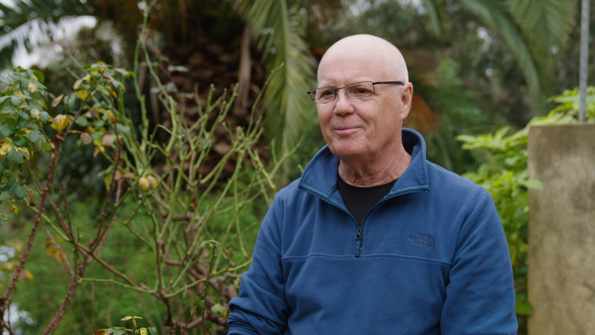 Green carab beetles release tear gas smell in Geraldton while escaping ...