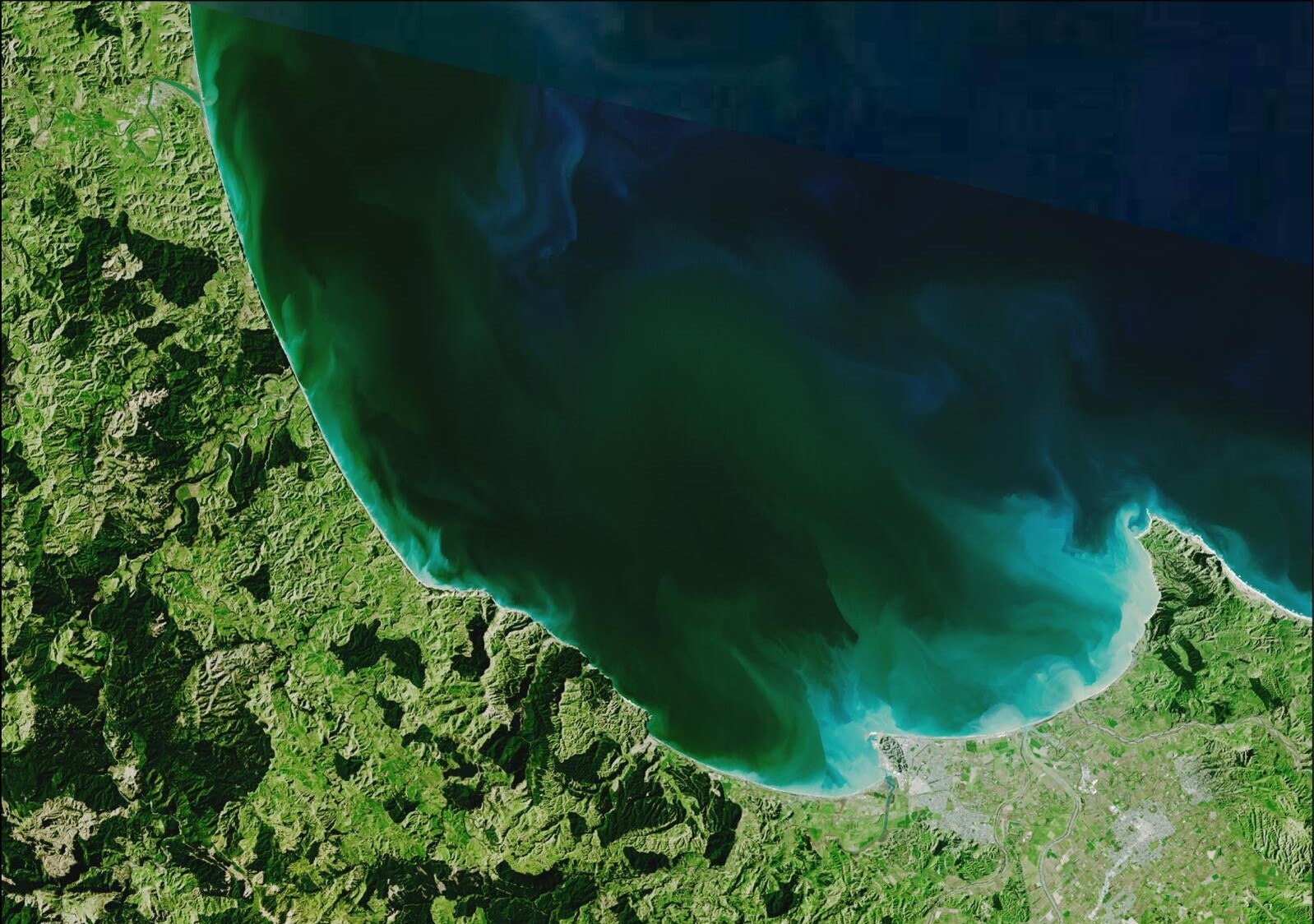 As an important part of the ecosystem, algae is also fighting against ...