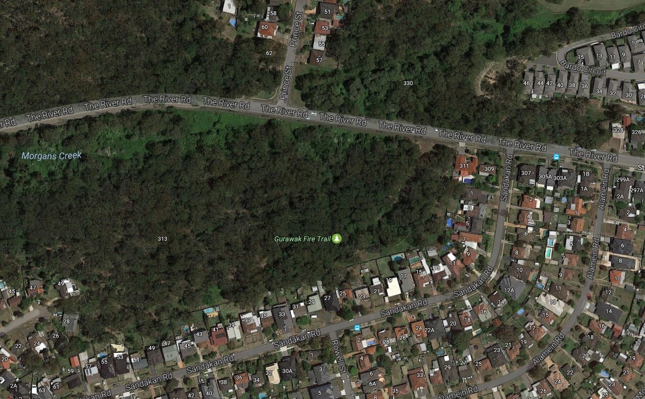 REX plane propeller that fell off mid-flight winched out of Revesby ...