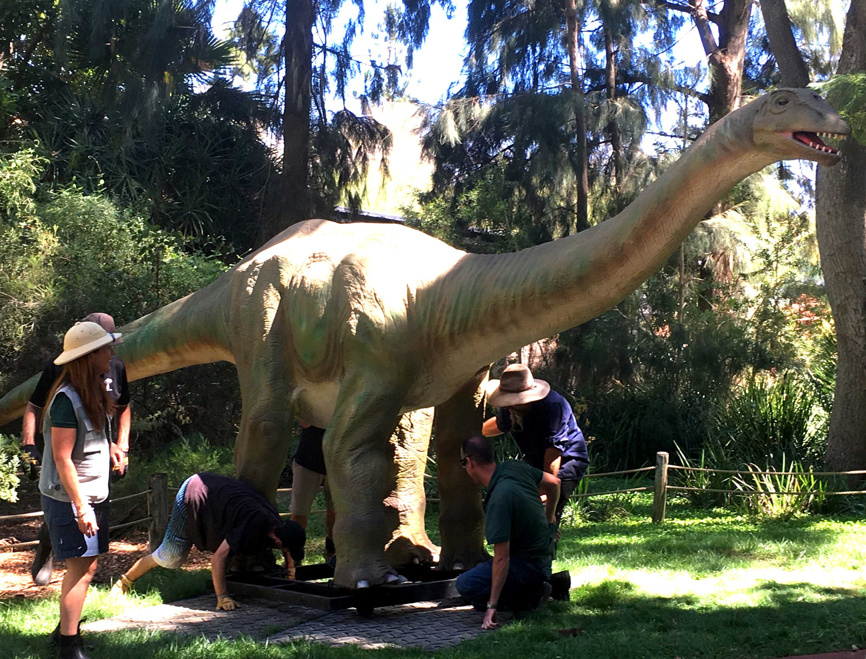 Robotic dinosaurs make Perth Zoo their home - ABC News