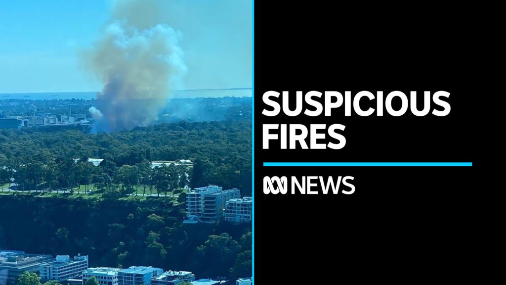 Kings Park suffers another blaze 24 hours after suspicious bushfires ...
