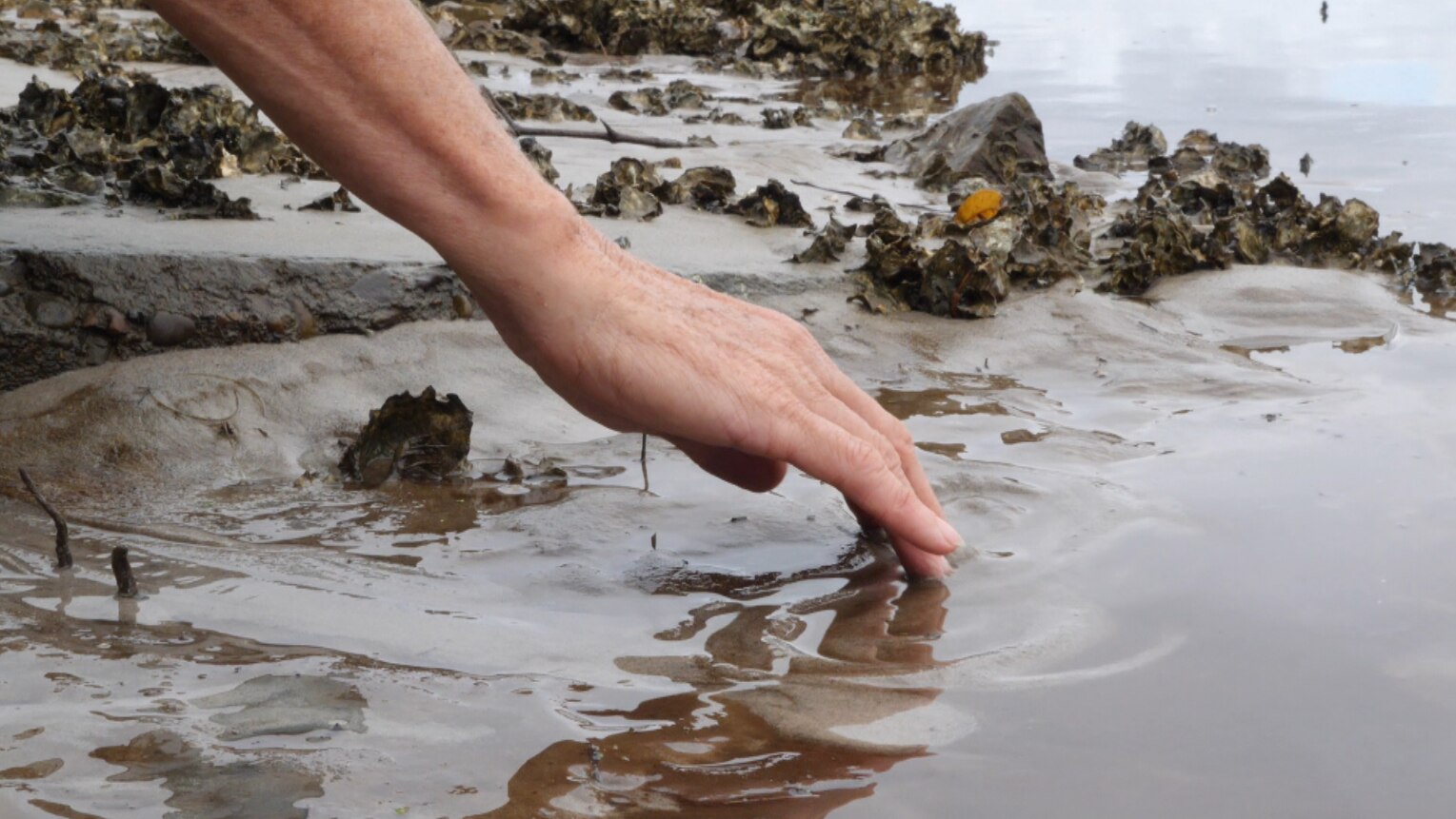 Blackmans Point massacre of Birpai people could soon be formally ...