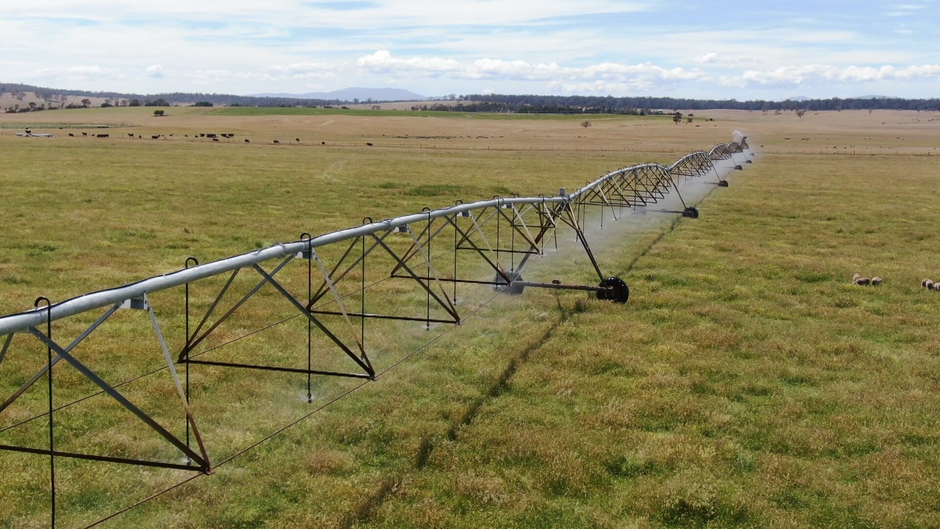 Tasmanian farmers fix water woes by creating Macquarie Settlement ...