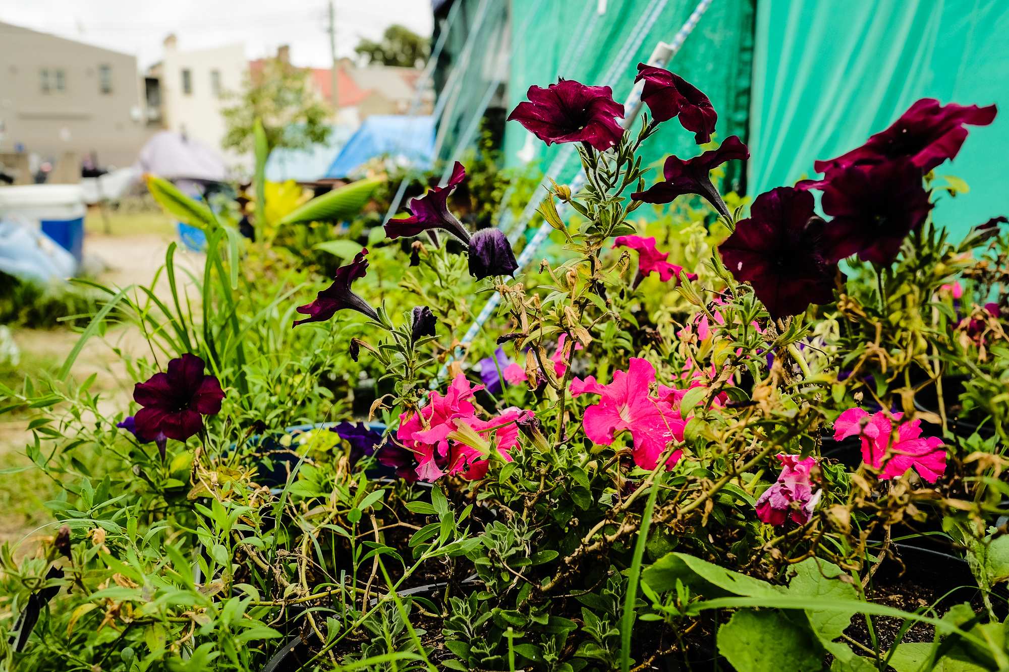 Redfern's The Block protesters hold firm but group likely to face ...