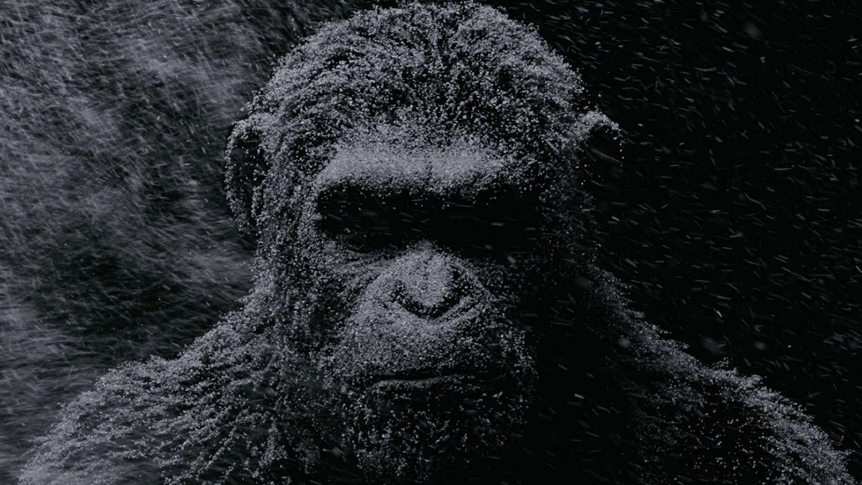 Review: War for Planet of the Apes starts thoughtful, turns ...