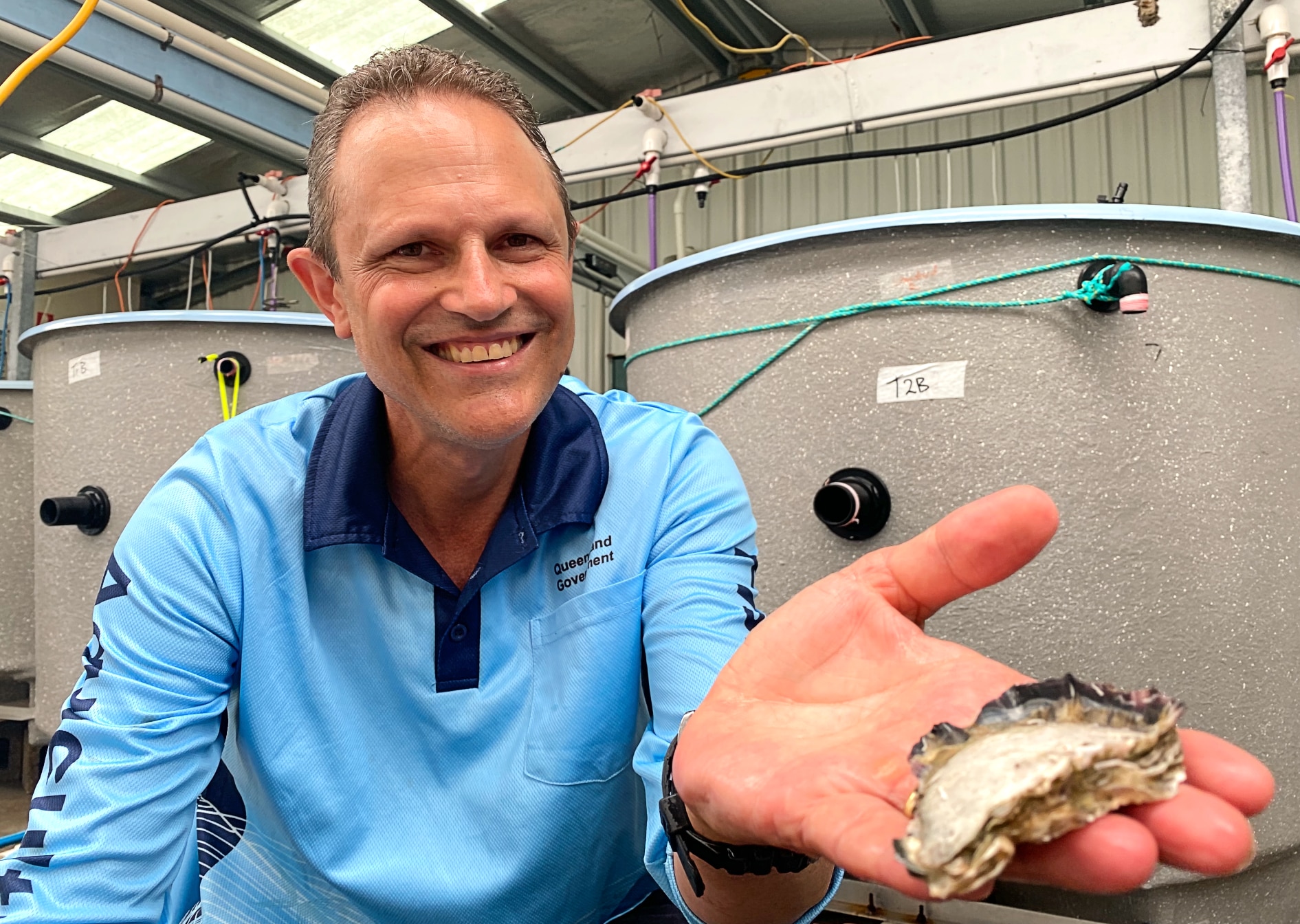 The Nature Conservancy oyster project adding 'ecosystem engineers' to ...