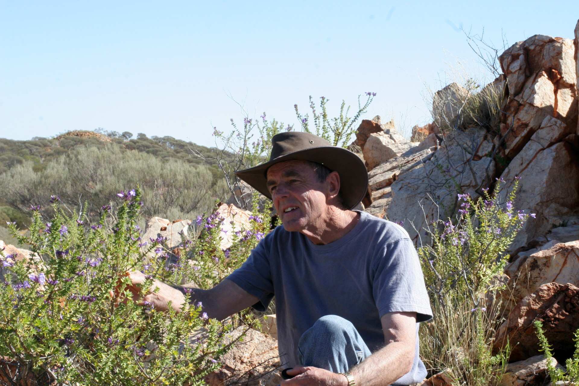 WA Herbarium adds its 800,000th specimen to secrets from Captain Cook's ...