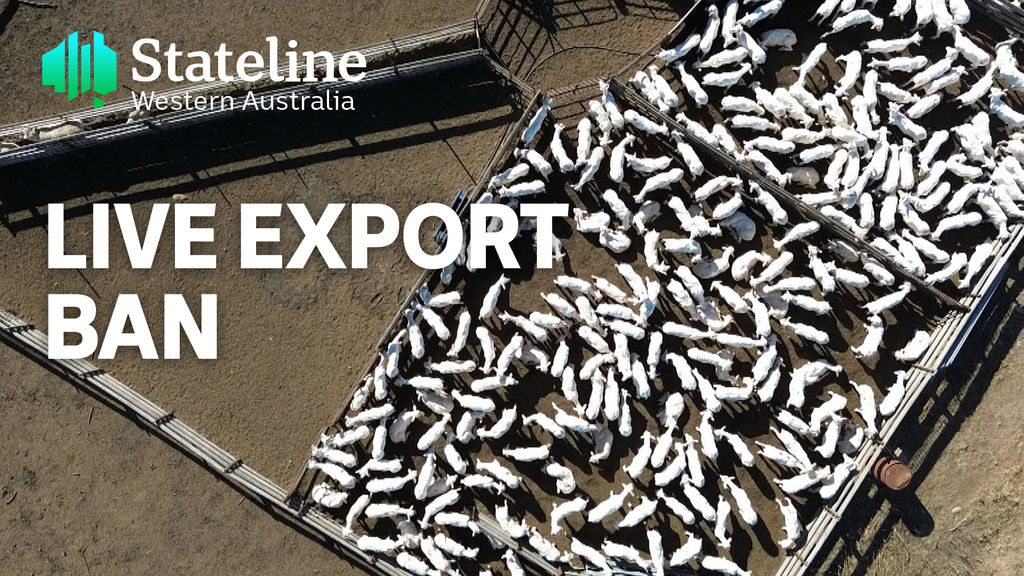 Stateline : ABC iview