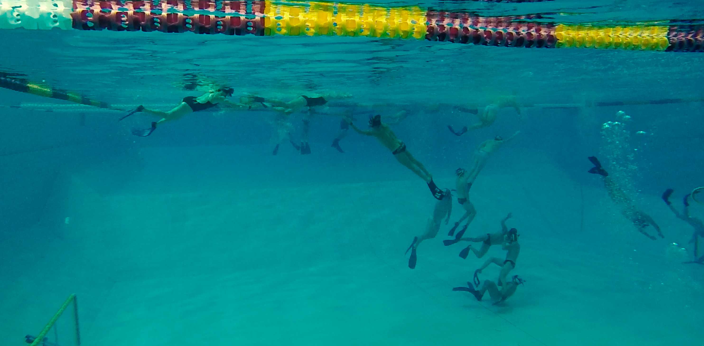 Free diving meets the tackle: Underwater Rugby - ABC Perth