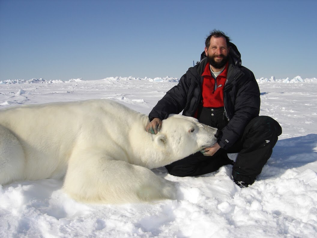 Polar bears could face starvation by the end of the century, scientists ...