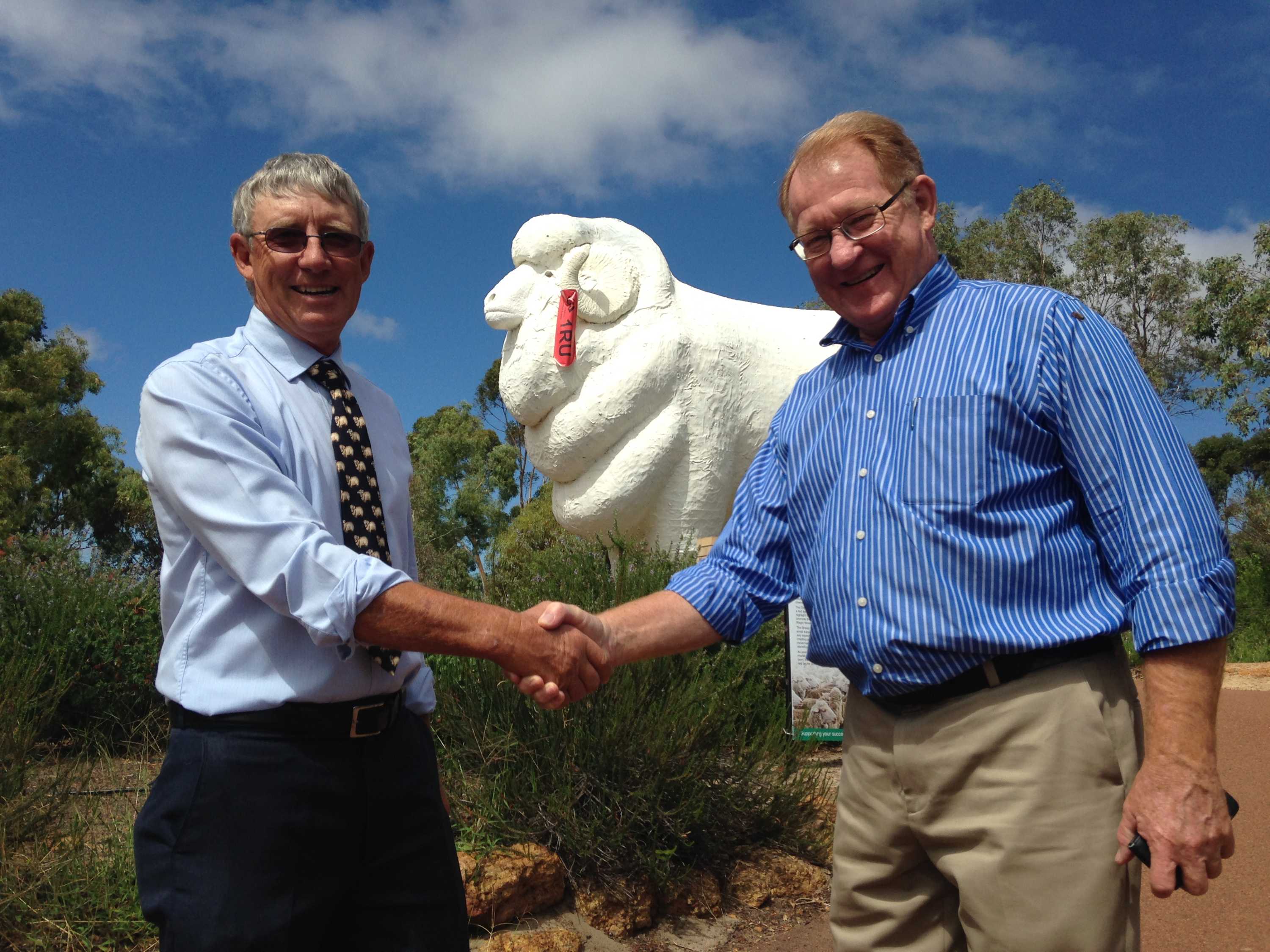 Big rams bring towns together for tourism on opposite sides of ...