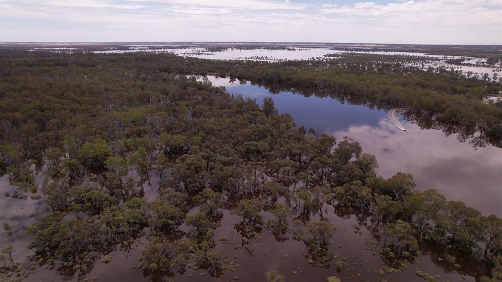 Drone footage shows expansive view of high water level - ABC News