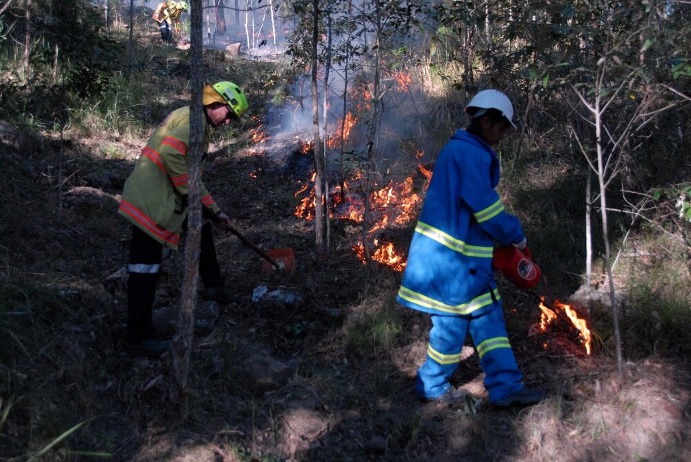 Indigenous bushfire management practices could save wildlife and reduce ...