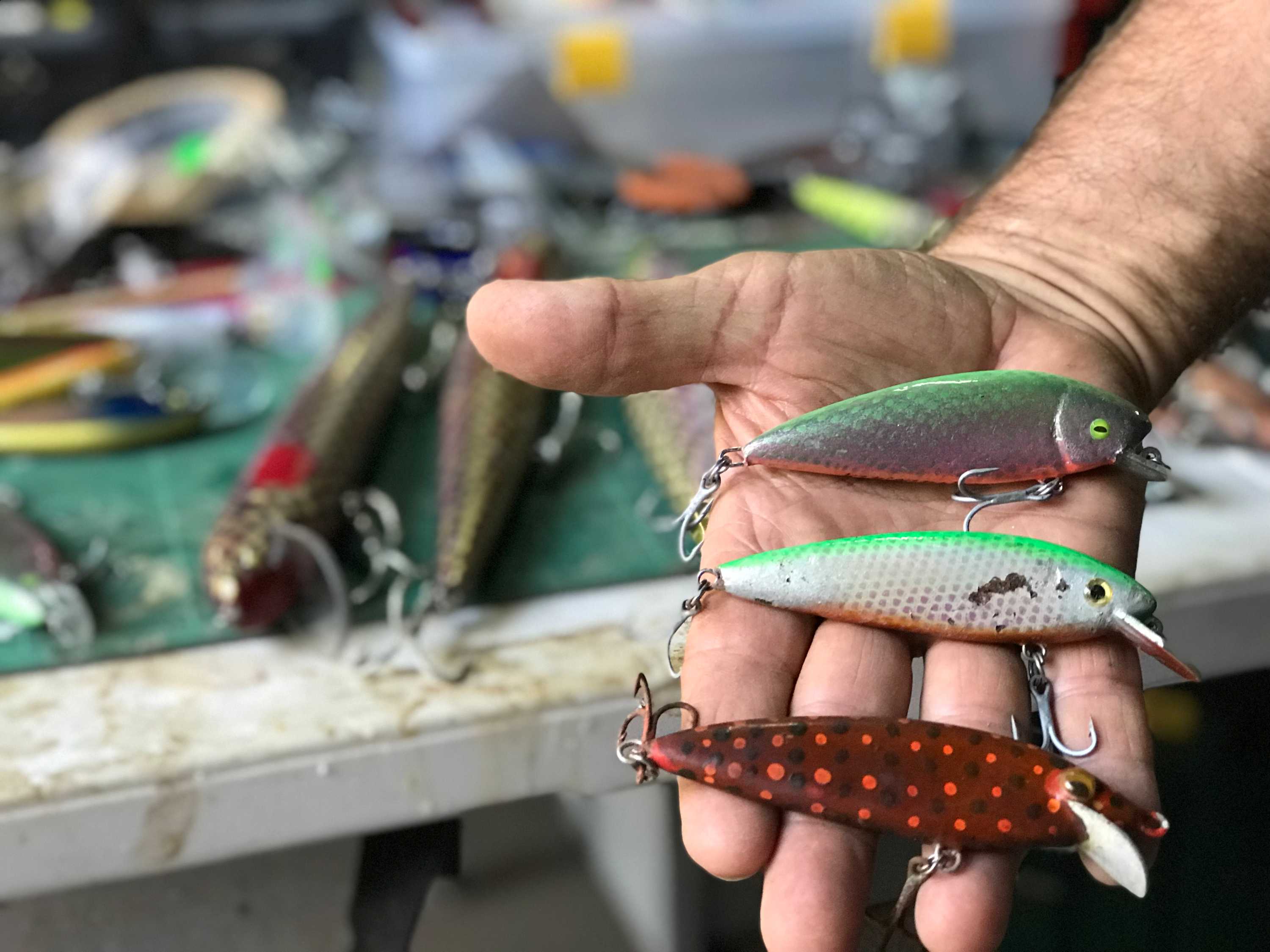 The fine art of making timber barra lures - ABC listen
