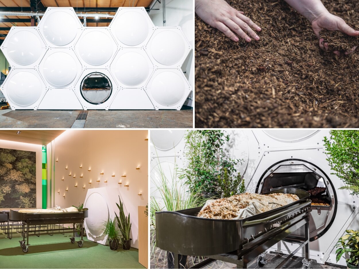 What is human composting and should it be legalised? These green-minded ...