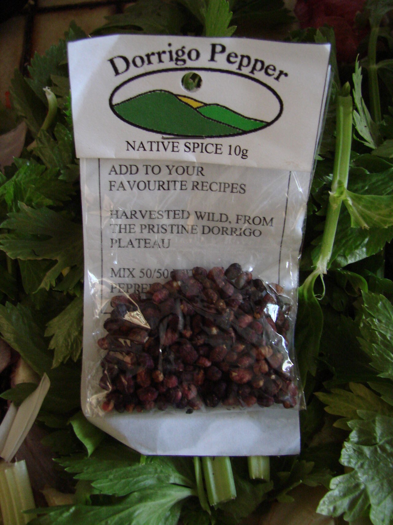 Drover's dogs and Dorrigo Pepper - ABC News