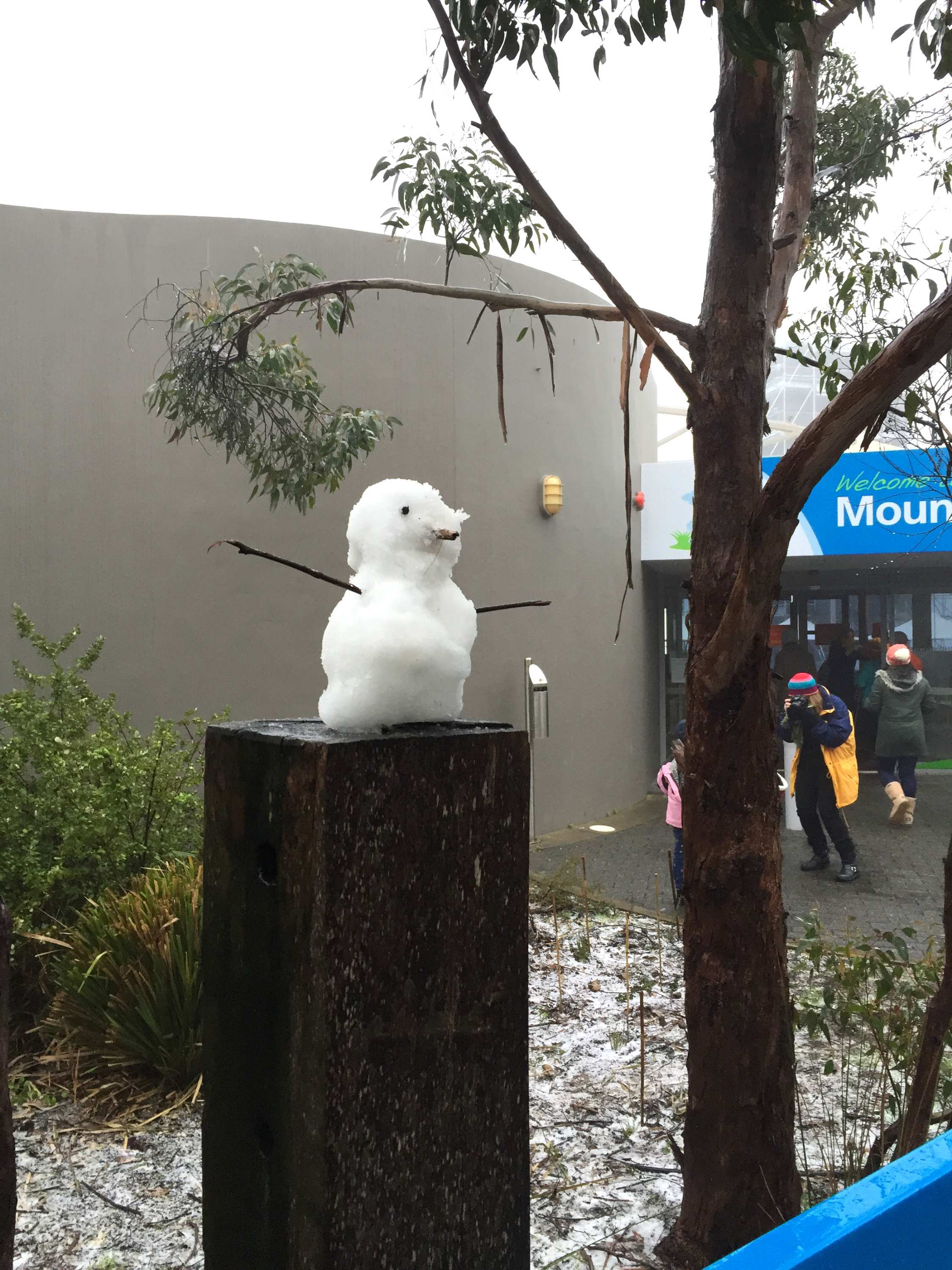 Snow dusts South Australia as cold front sends temperatures plummeting ...