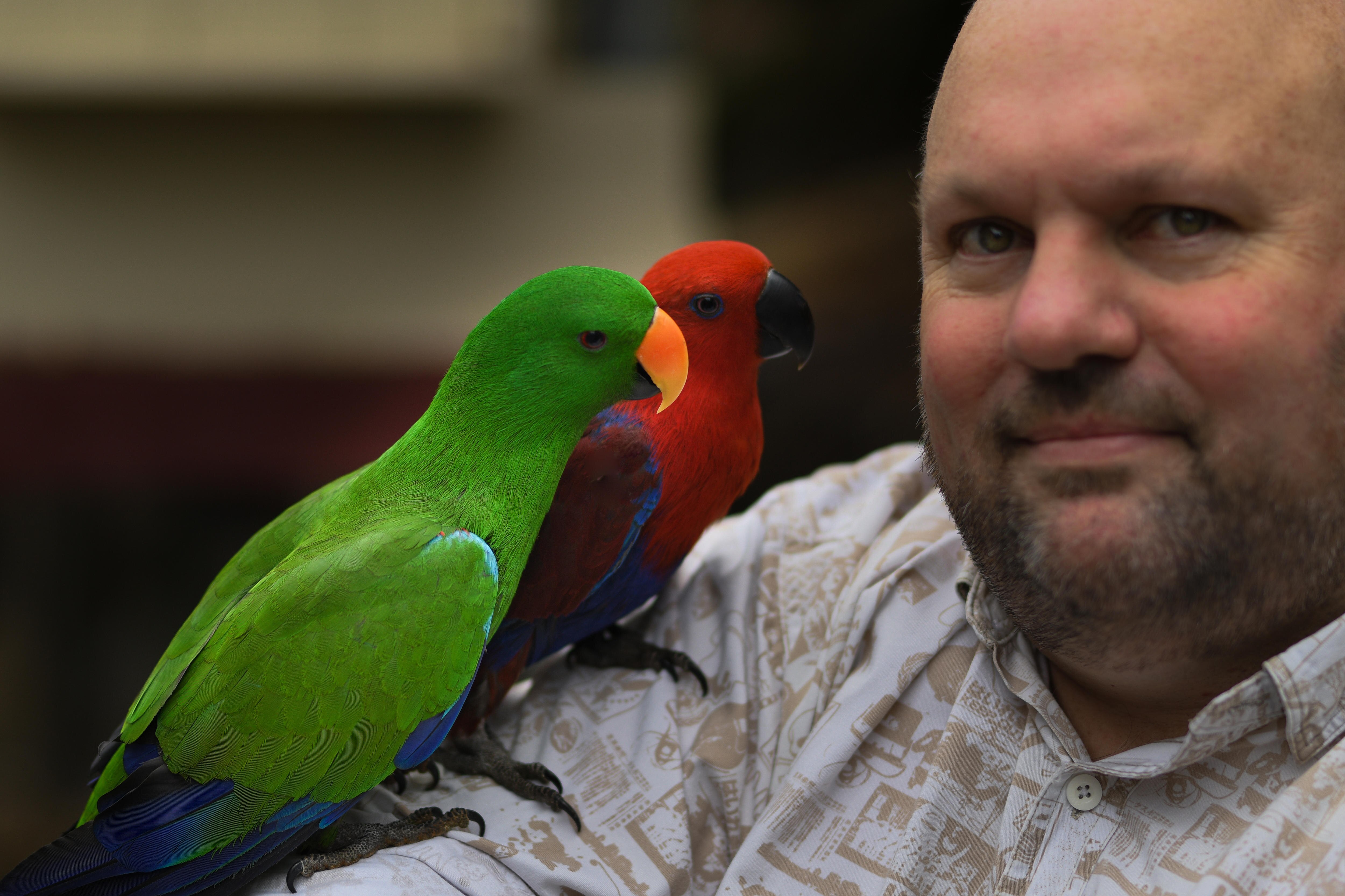 The Dreamworld tragedy almost cost Michael his life, now he is saving ...