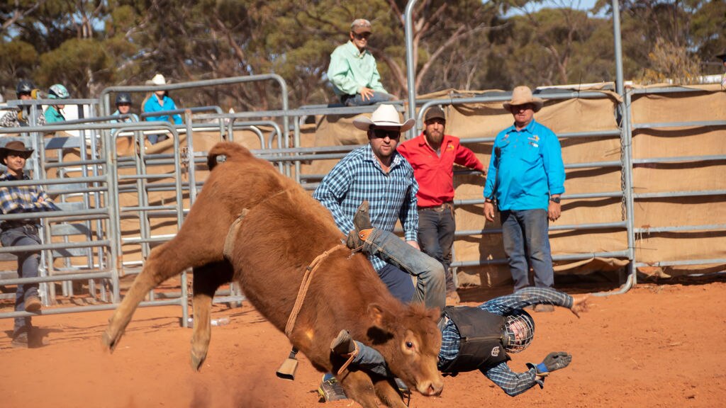 Fearless kids take on the dangerous world of rodeo - ABC News