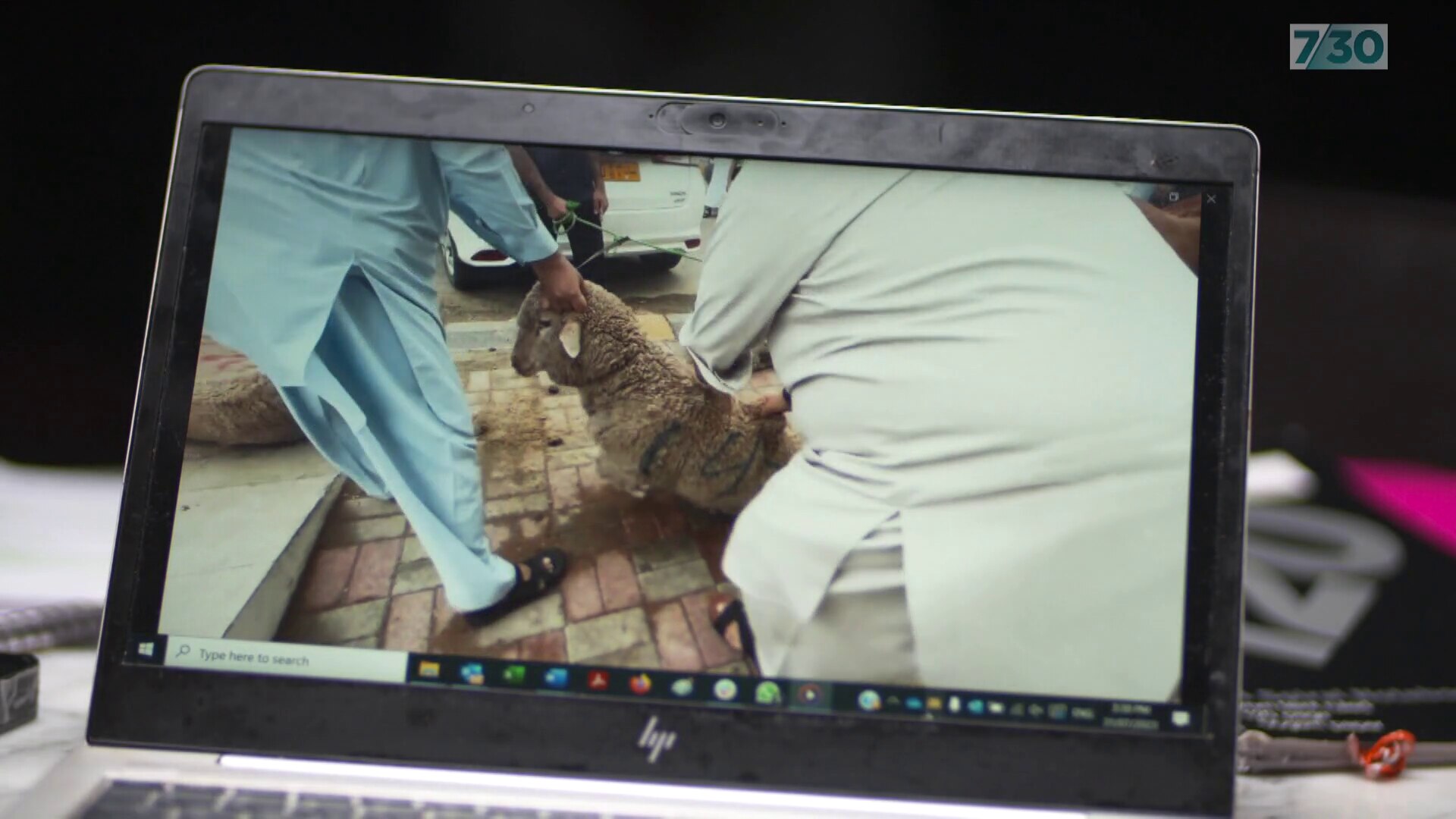 Shatha Hamade says the footage she captured shows the federal ...