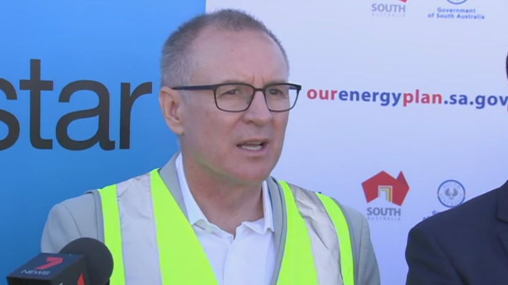 Jay Weatherill on power companies - ABC News